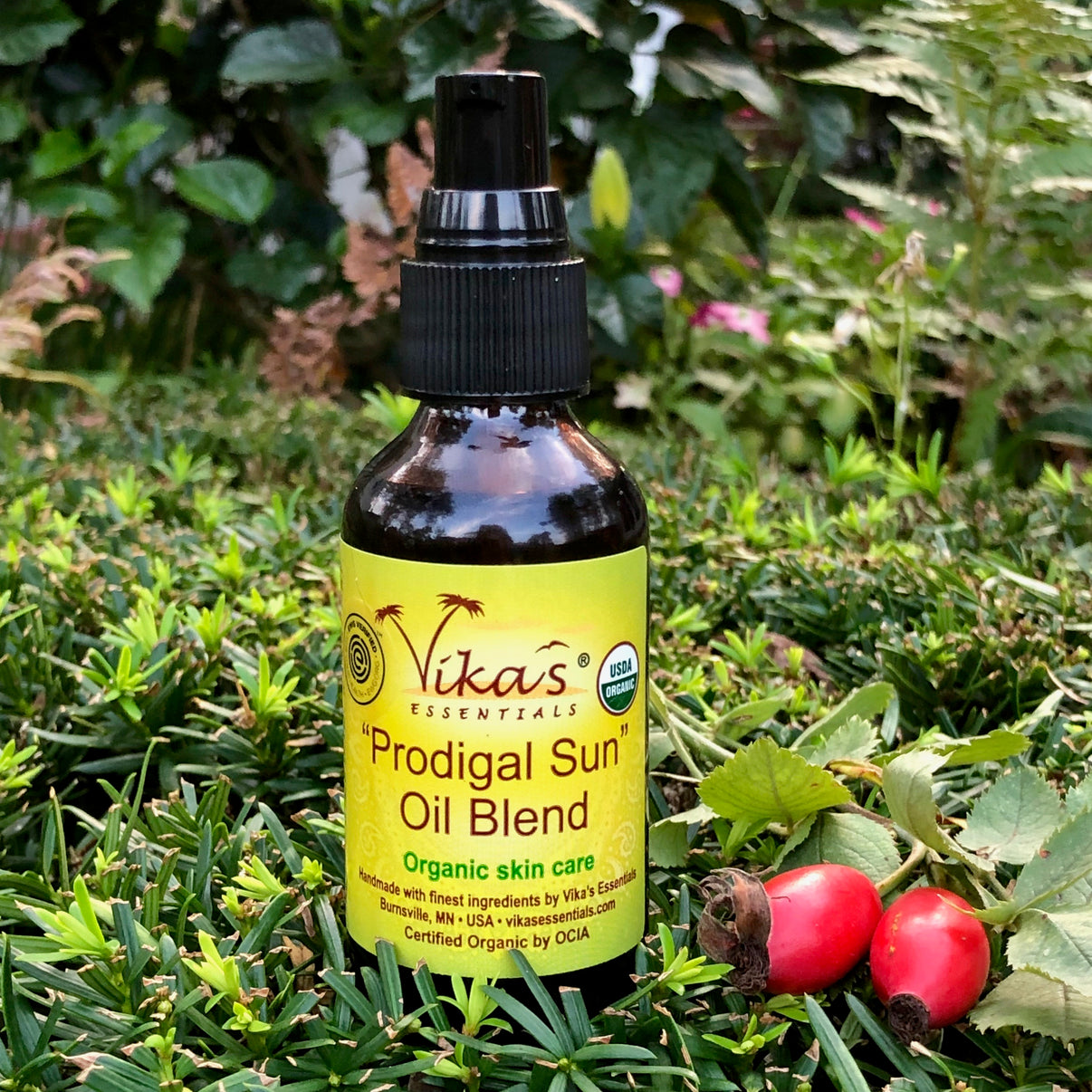 "Prodigal Sun" Oil Blend - USDA Certified Organic – Vika's Essentials